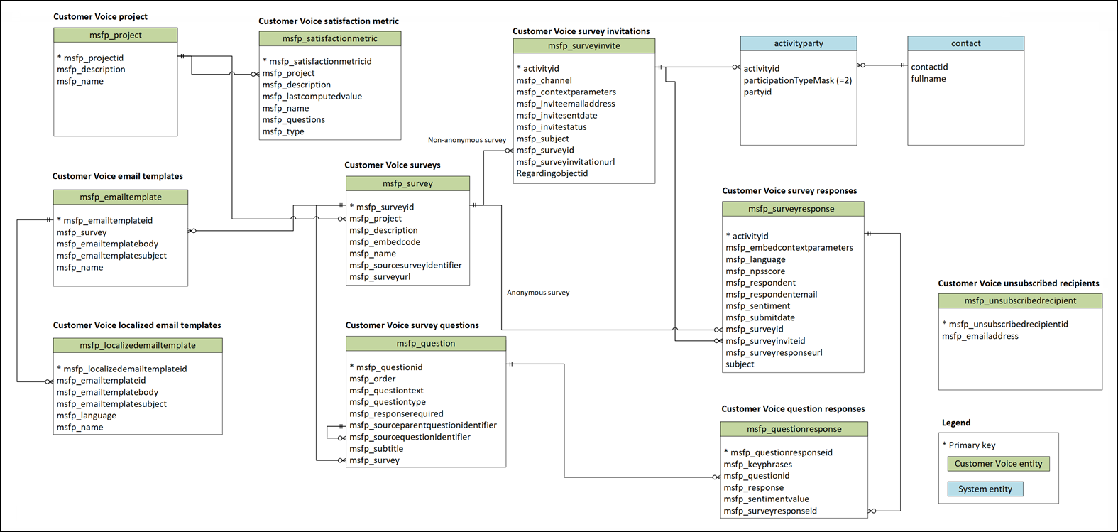 Customer Voice Entities