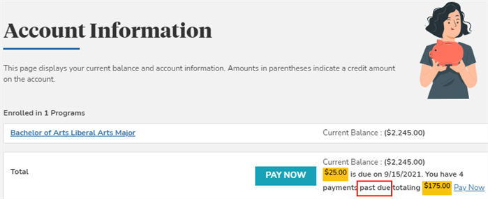 Make Payments Online